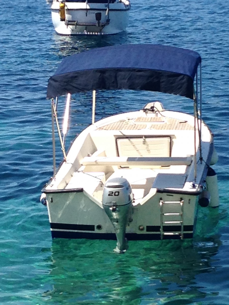 Ribar 480