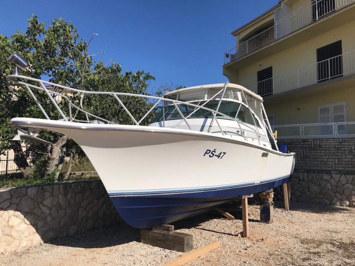 Shamrock 31 Grand Slam