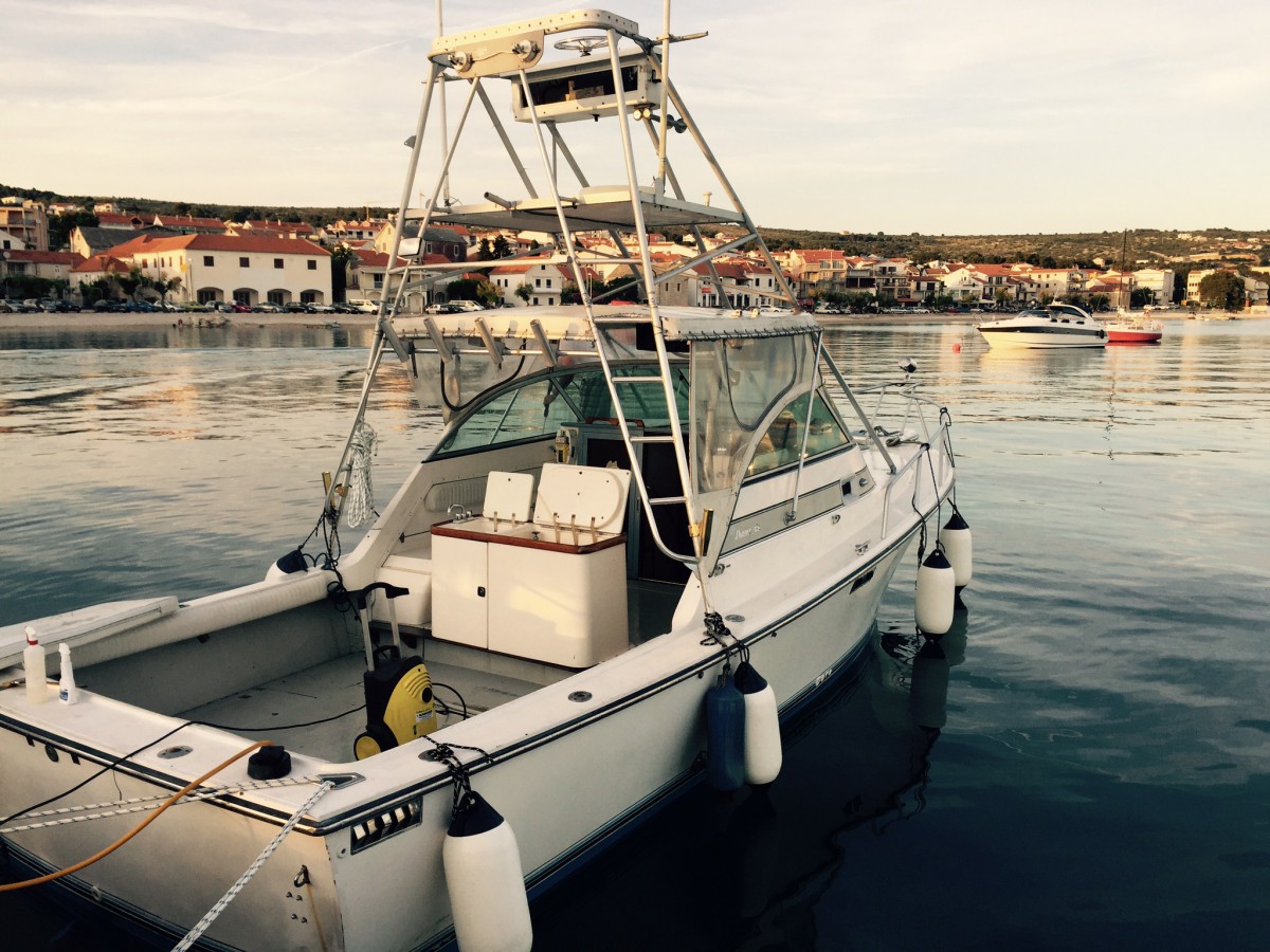 Shamrock 31 Grand Slam