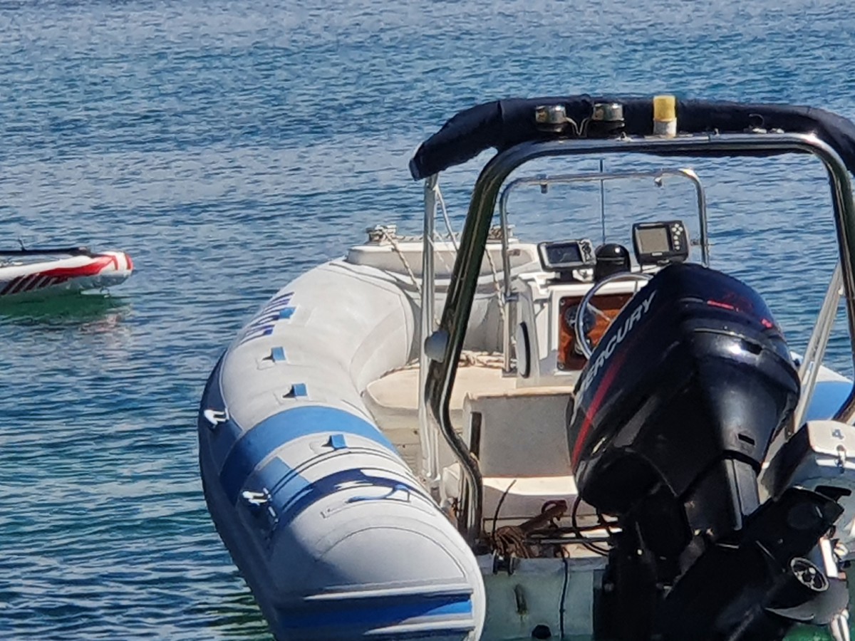 Ris Maestral Scorpio f 80