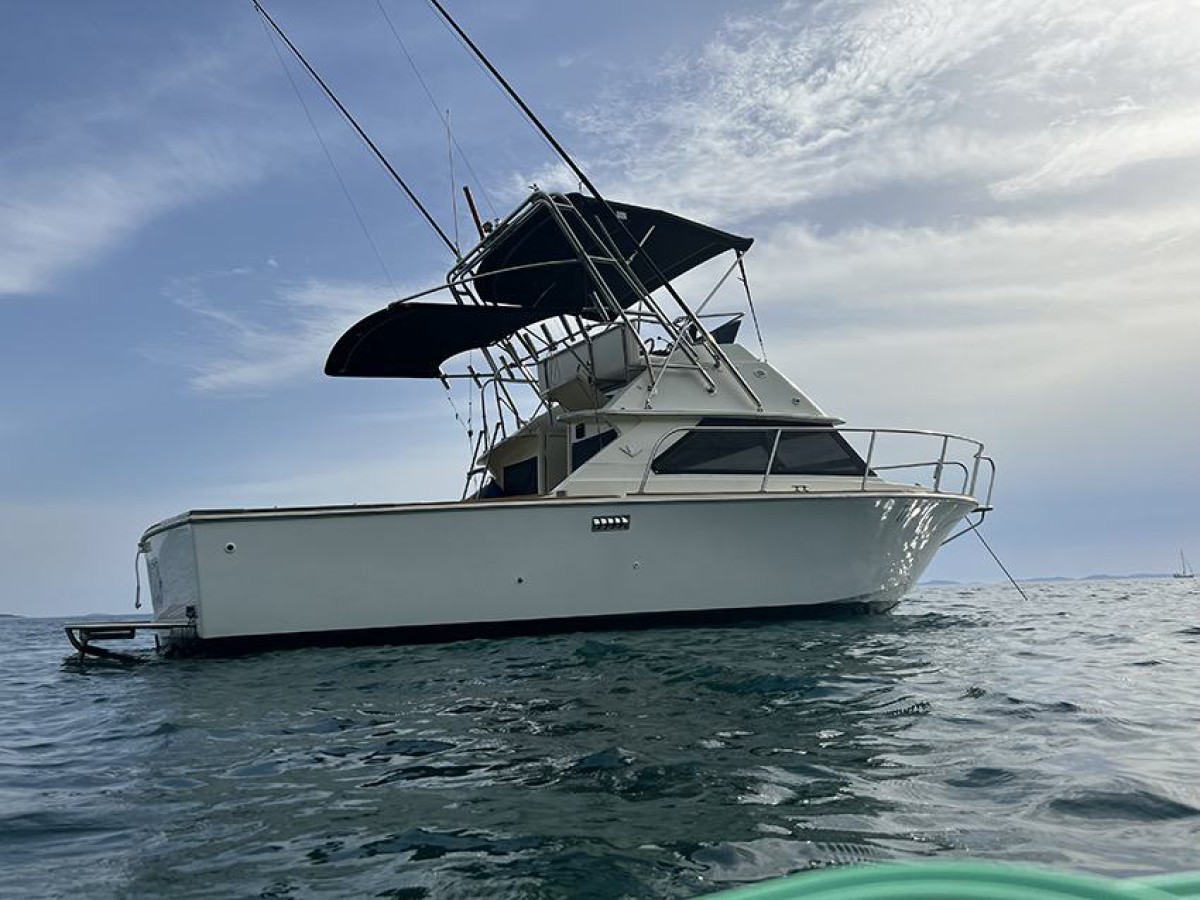 Bertram 28 Flybridge Cruiser Fishing Boat