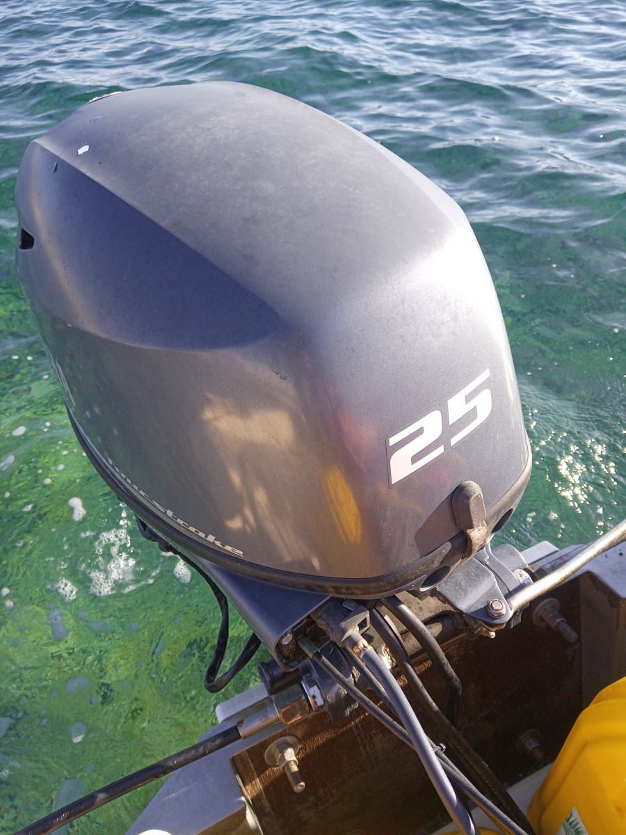 YAMAHA 25 ks, F25DET