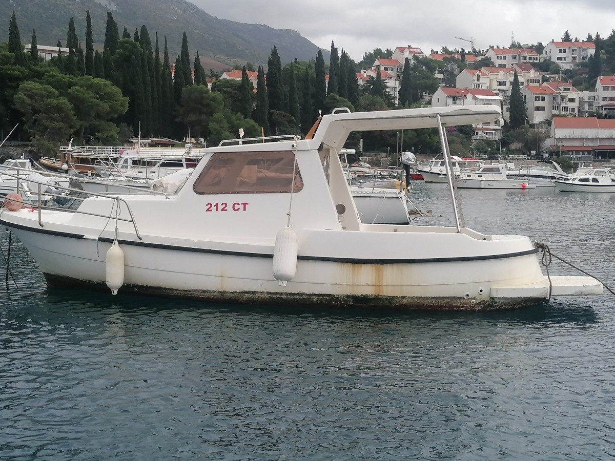 Gull 7,45